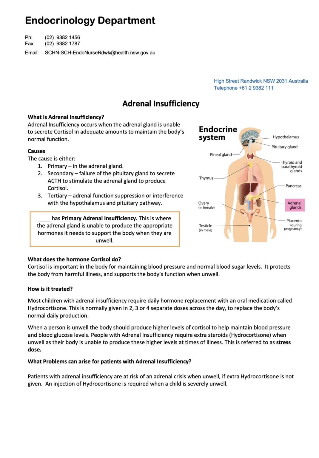 Adrenal Insufficiency Simply Explained – CAH PeP Talk